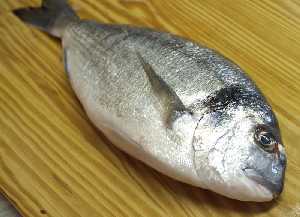 Dorada - Región de Murcia Digital