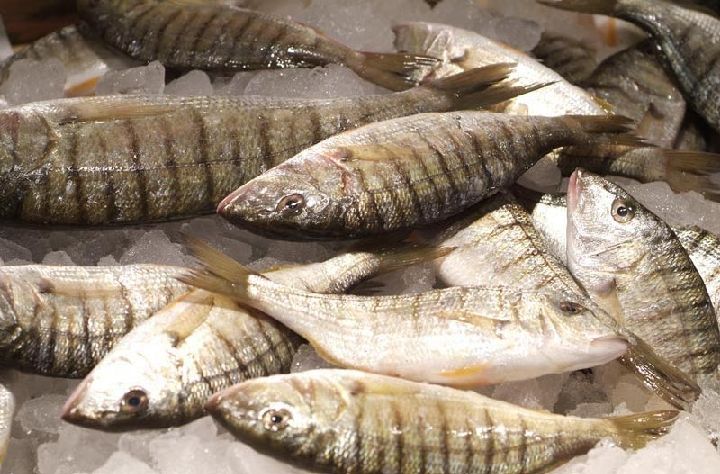 Magre- Características - Región de Murcia Digital