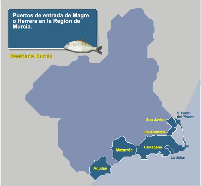 Magre- Características - Región de Murcia Digital