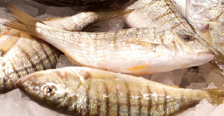 Magre - Región de Murcia Digital